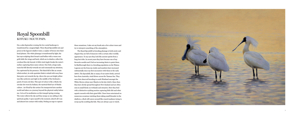 Drawn to the Wild: Paintings of New Zealand Birds